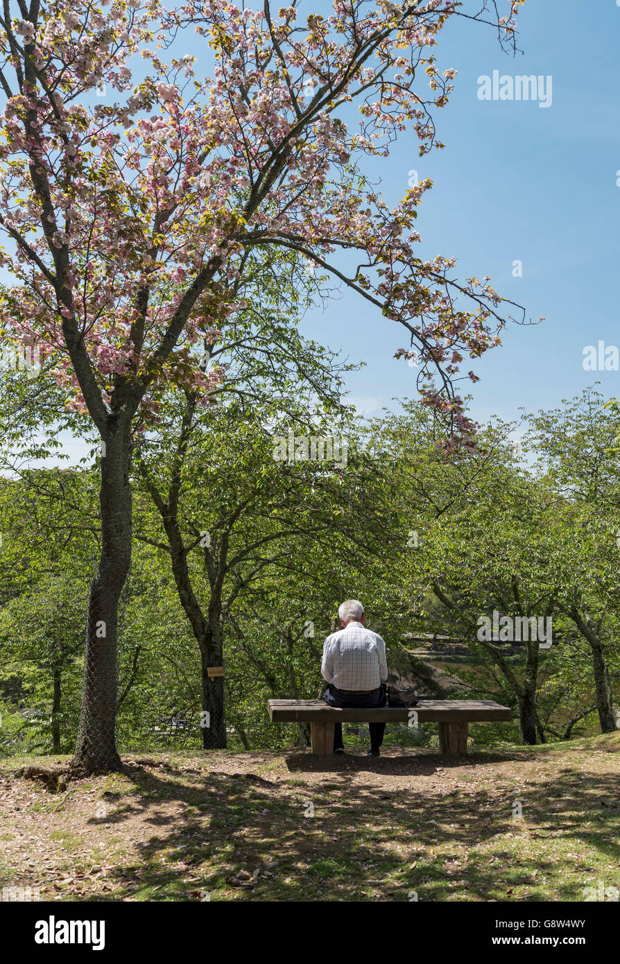 Sit under tree old man hi-res stock photography and images - Alamy
