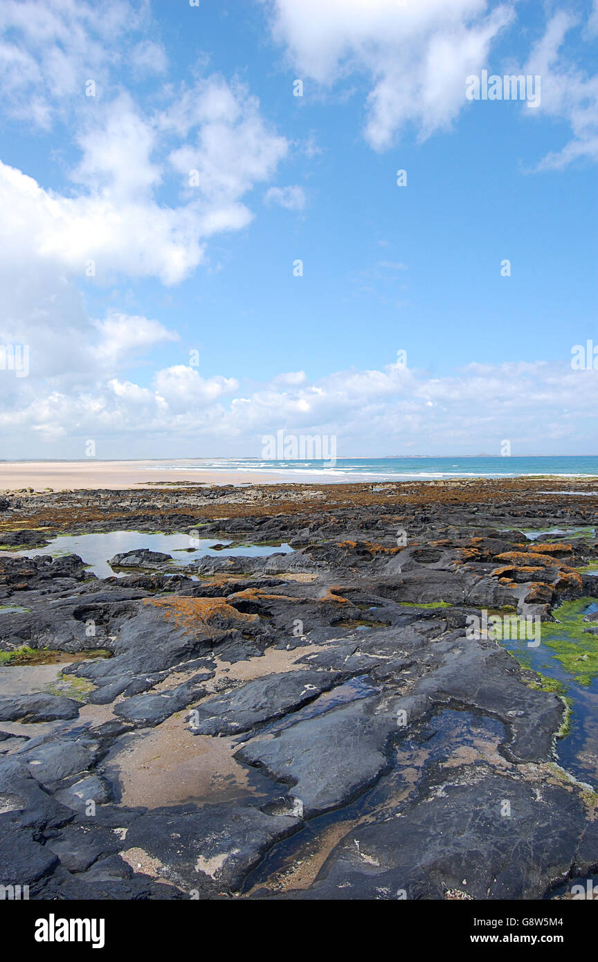 Northumberland beach rocks hi-res stock photography and images - Alamy