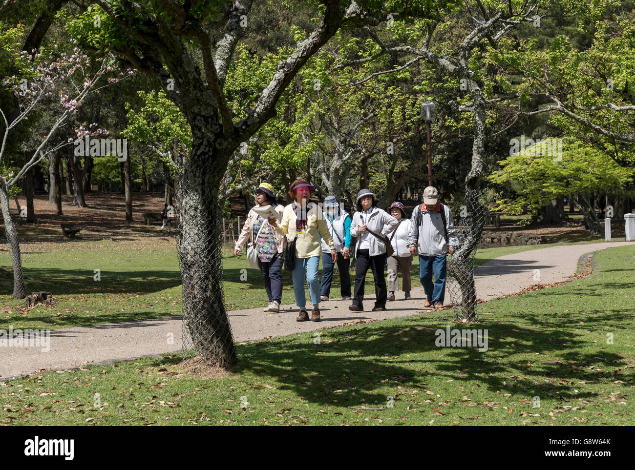 People walk through Nara Park, Japan Stock Photo - Alamy