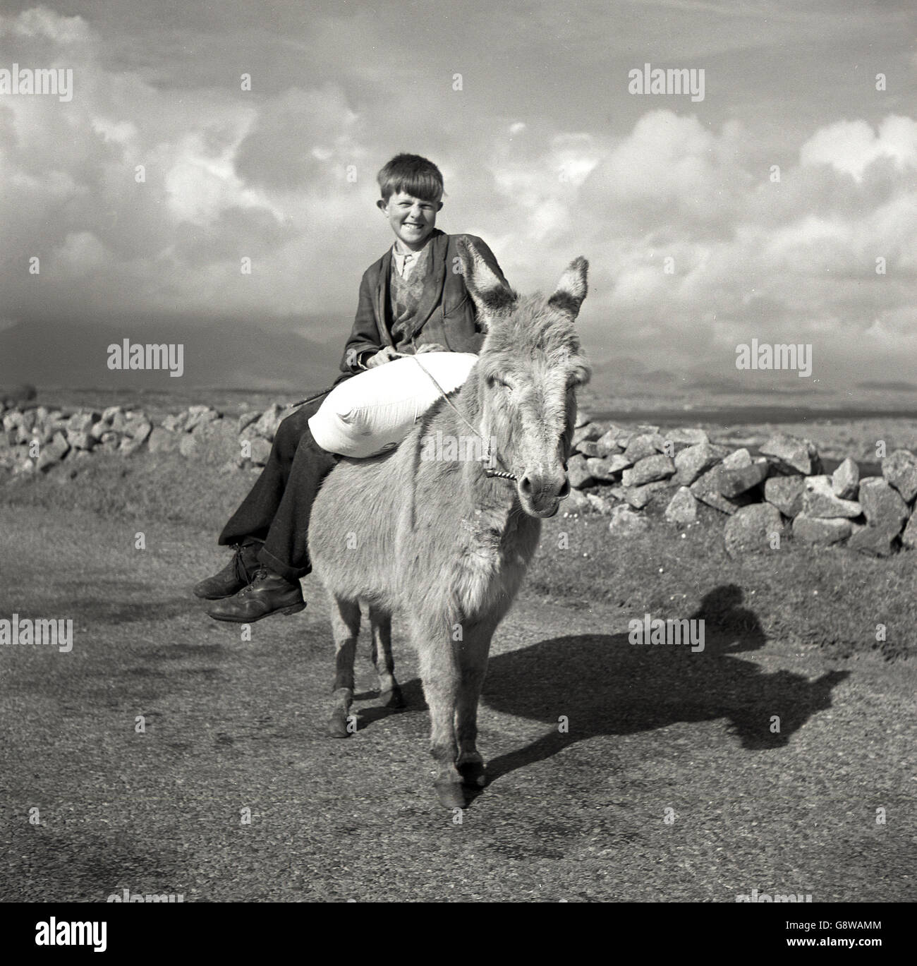 Ireland farming 1950s hi-res stock photography and images - Alamy