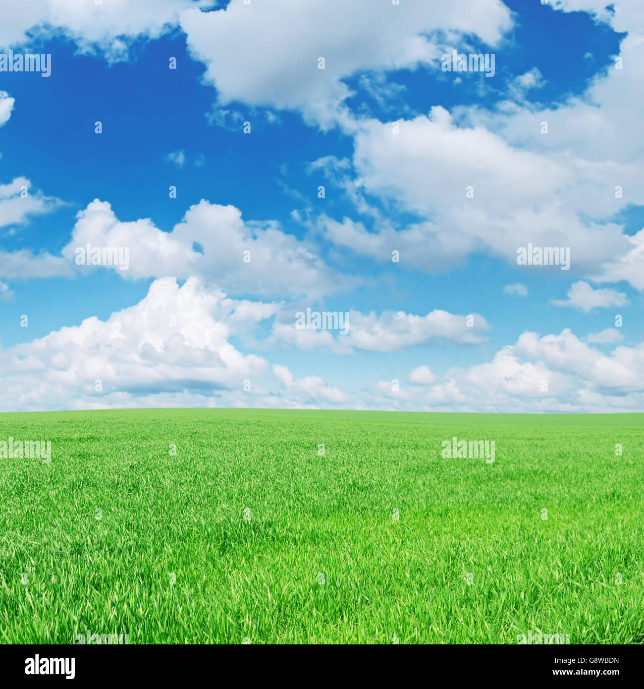 Fields spring blue sky hi-res stock photography and images - Alamy