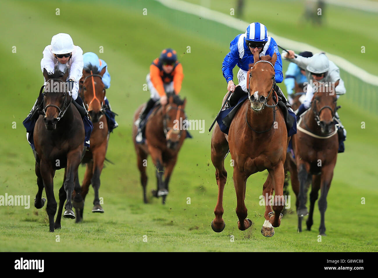The Craven Meeting - Wednesday - Newmarket Races Stock Photo - Alamy