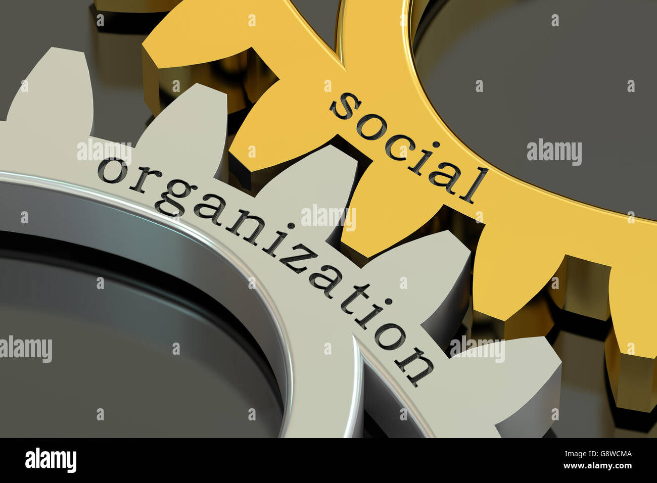 Social Organization concept on the gearwheels, 3D rendering Stock Photo ...