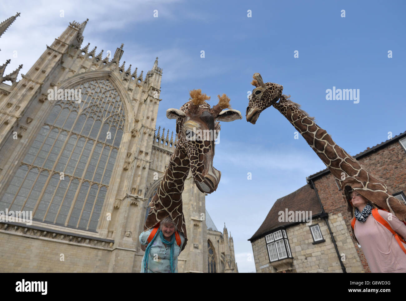 Model of york minster hi-res stock photography and images - Alamy
