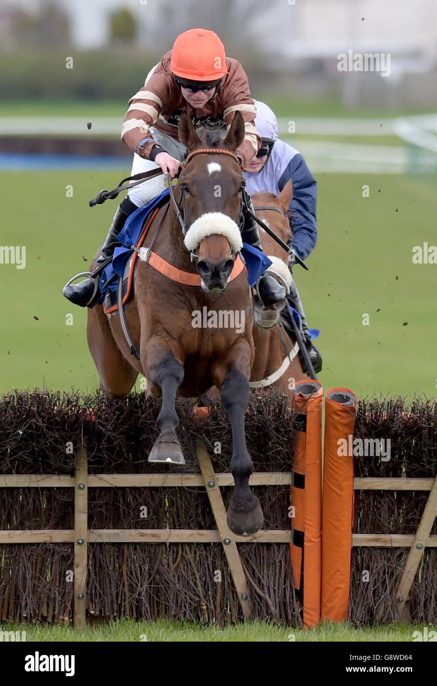 Gully's Edge ridden by Jamie Hamilton on his way to winning the Abbott ...
