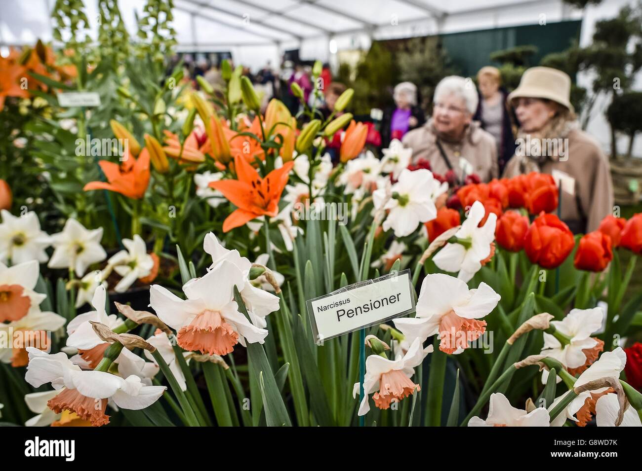 Gardening enthusiasts admire mixed bulbs and flowers on display in the ...