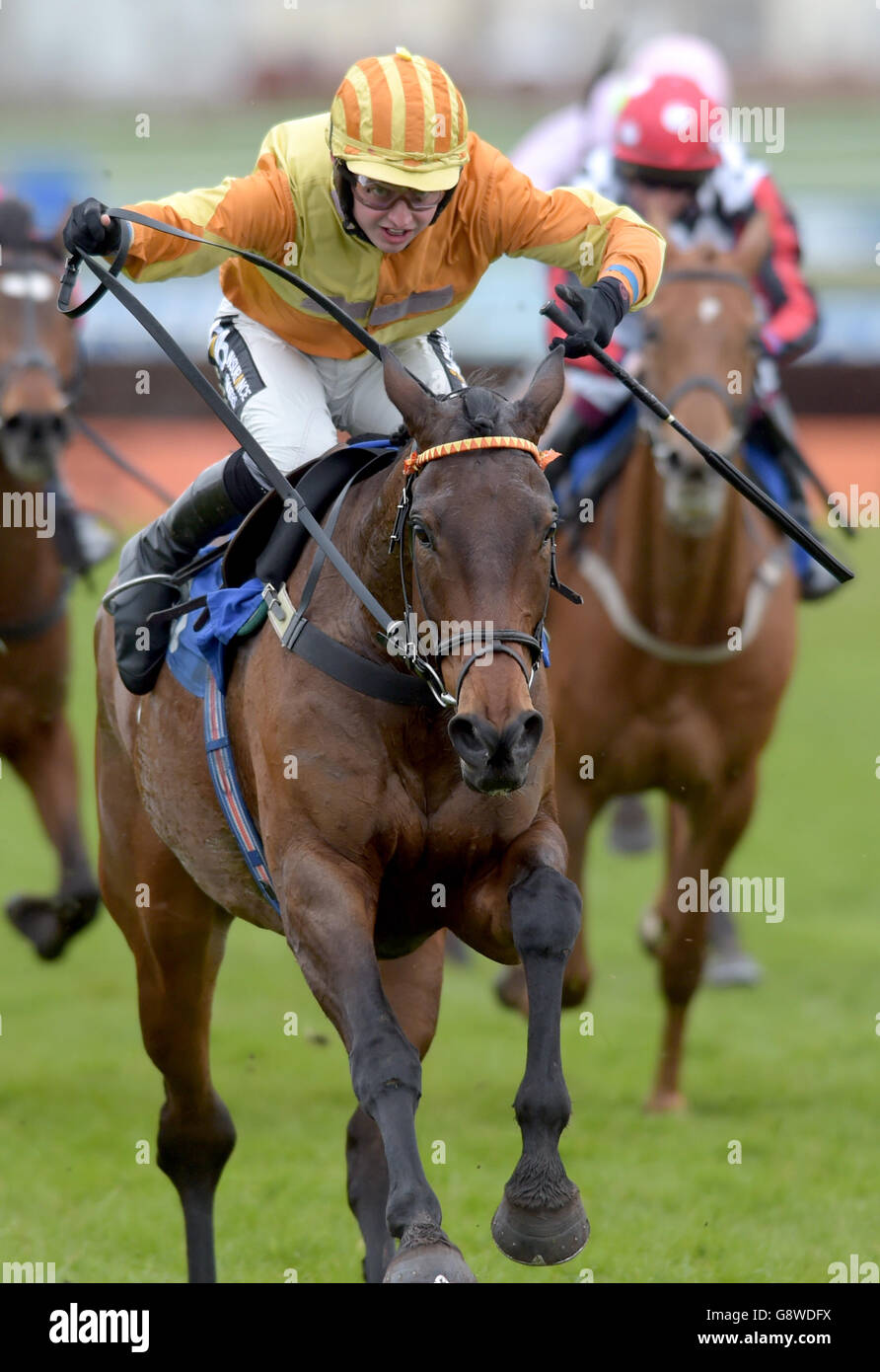 Ladies day coral scottish grand national ayr racecourse hi-res stock ...