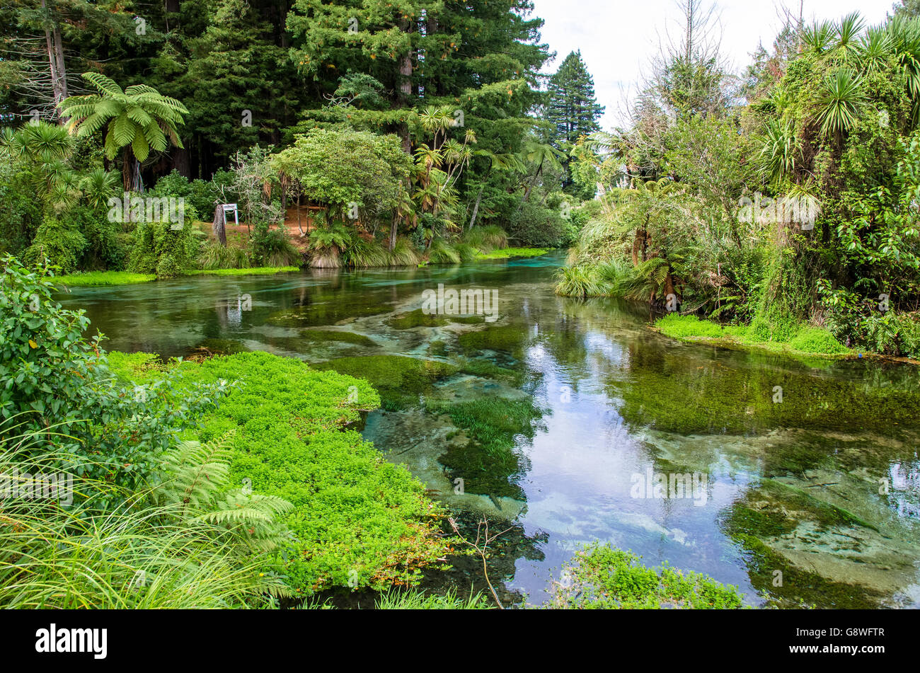 Hamurana Springs is the deepest natural fresh water spring on the North ...
