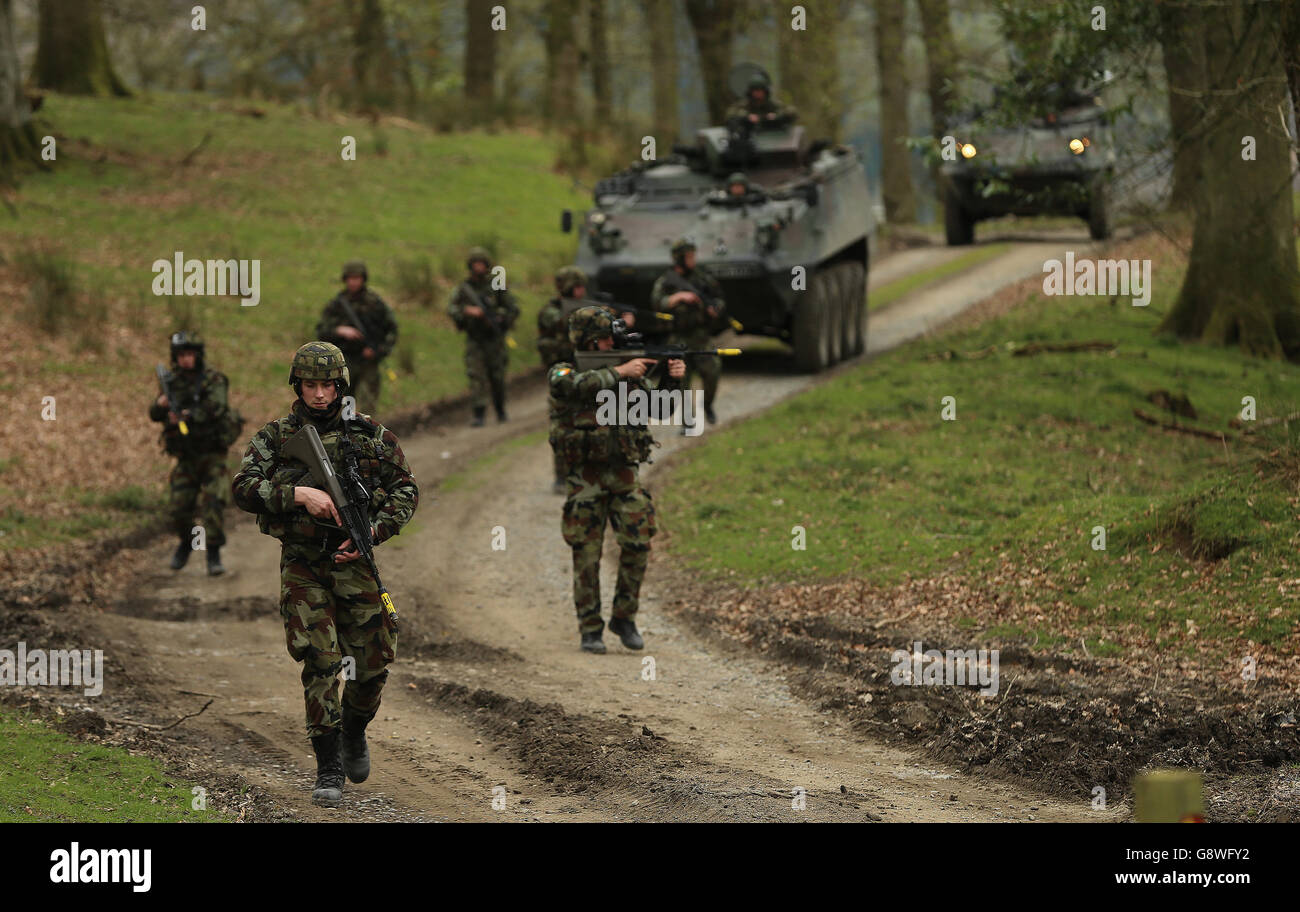 53rd Infantry Group exercise Stock Photo - Alamy