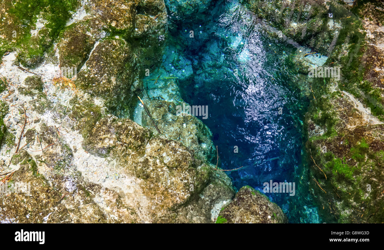 Te Puna-a-Hangurua in the Hamurana Springs, Rotorua New Zealand. There ...