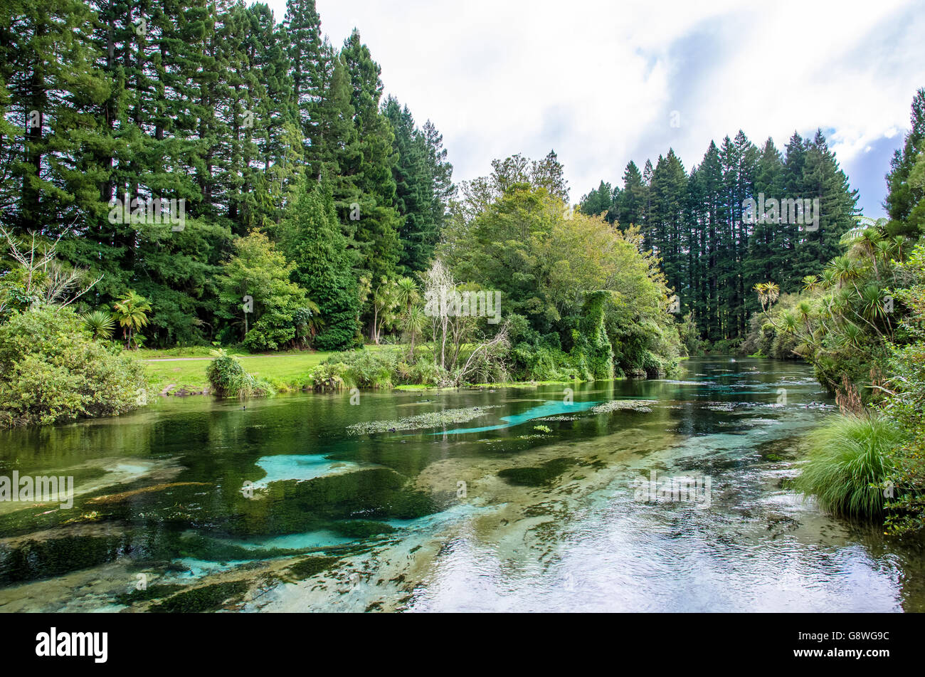 Hamurana Springs is the deepest natural fresh water spring on the North ...