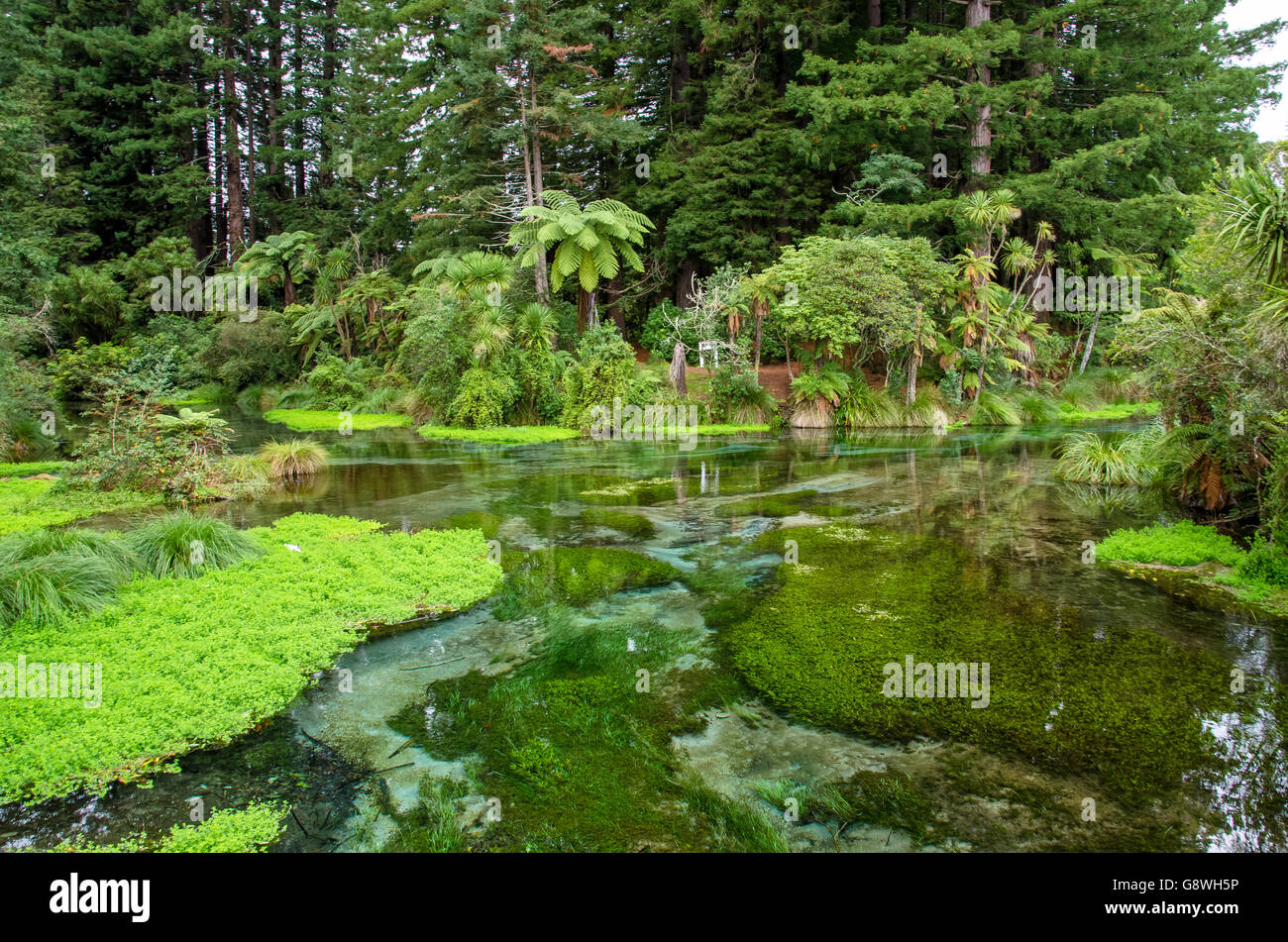 Hamurana Springs is the deepest natural fresh water spring on the North ...
