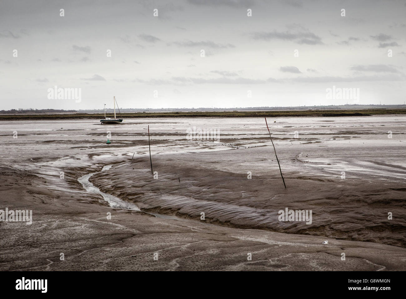 looking across the estuary to maldon from heybridge basin in essex ...