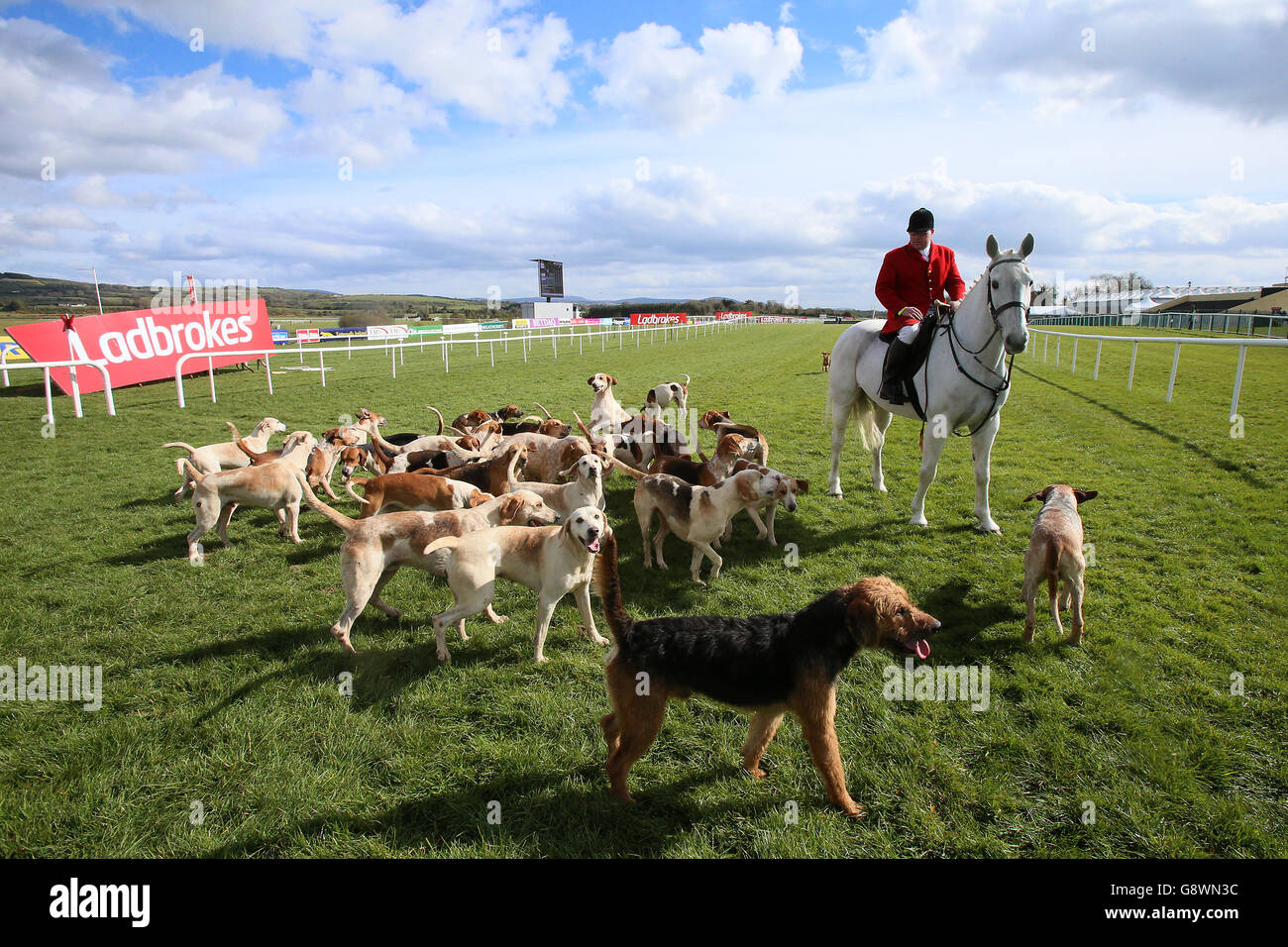 members of the Kildare fox hunt on display during day three of the ...