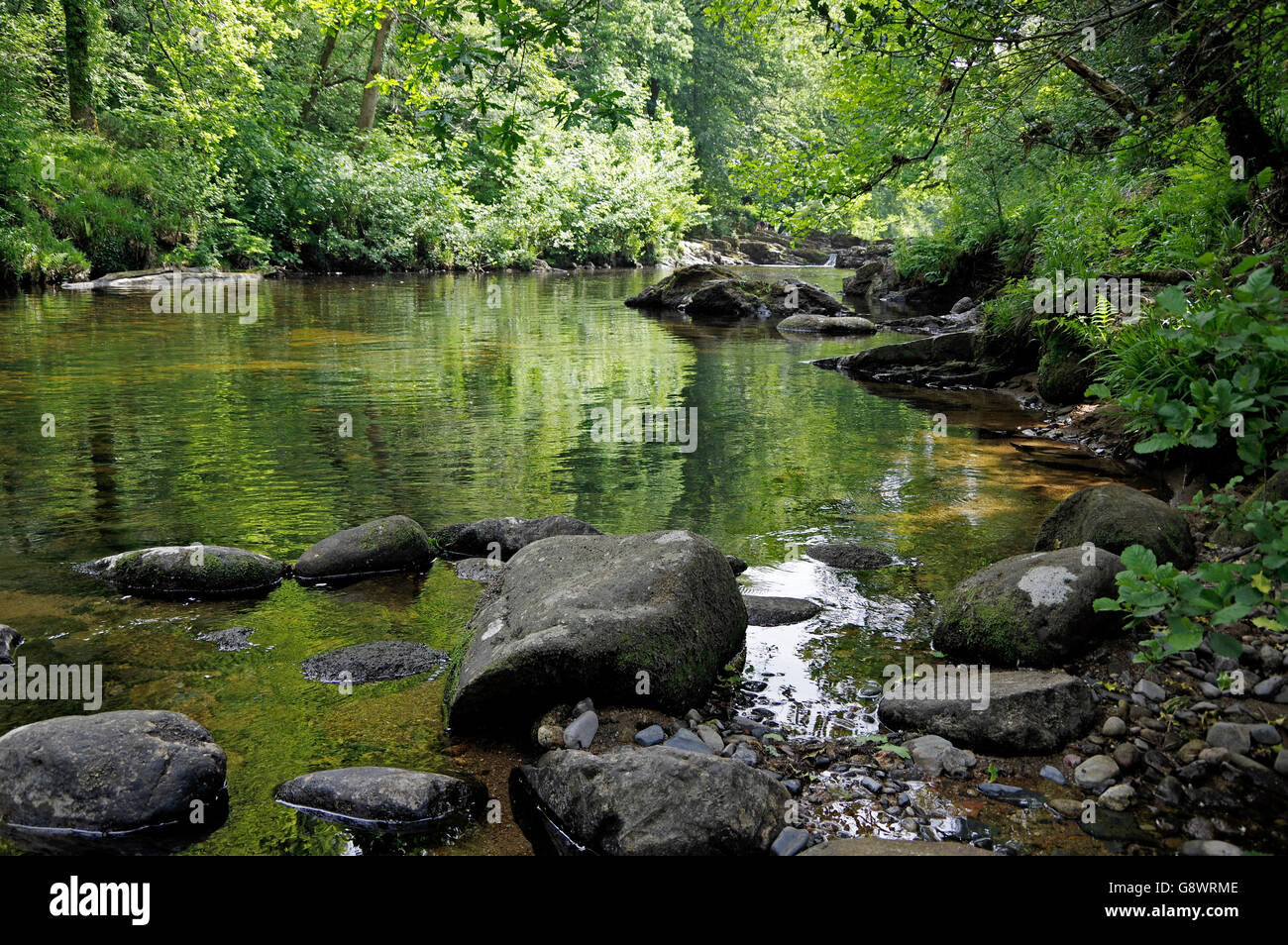 Large rocks along the riverbank of the River Dart in Dartmoor National ...