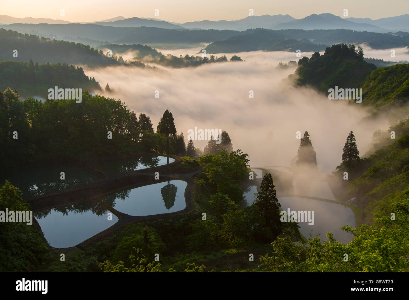 Early morning mist floating through the valleys and mountains in ...