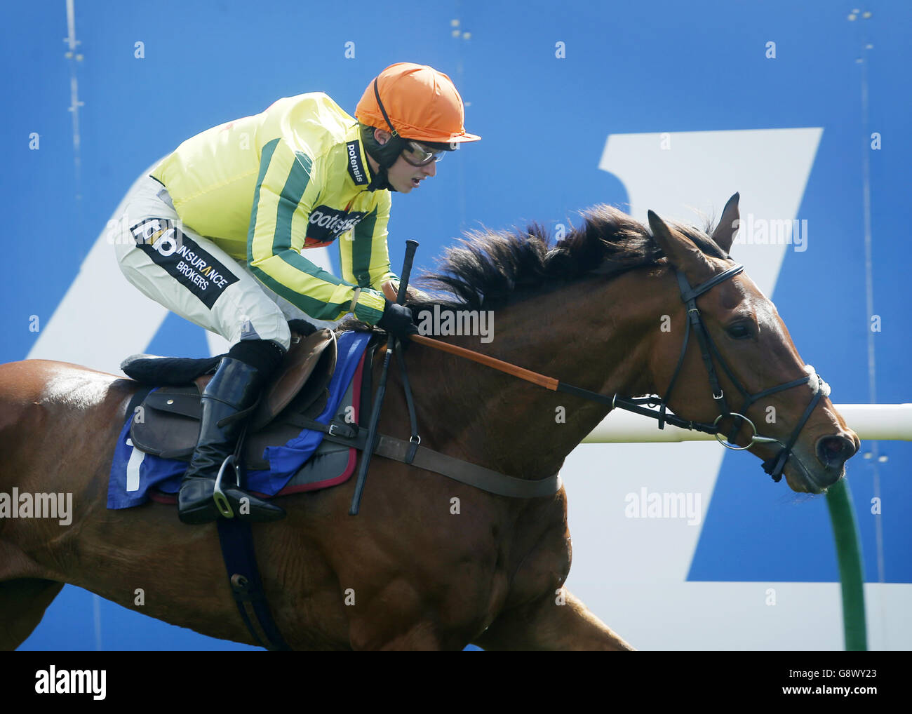 Ayr Races - Coral Scottish Grand National - Scottish Grand National Day ...