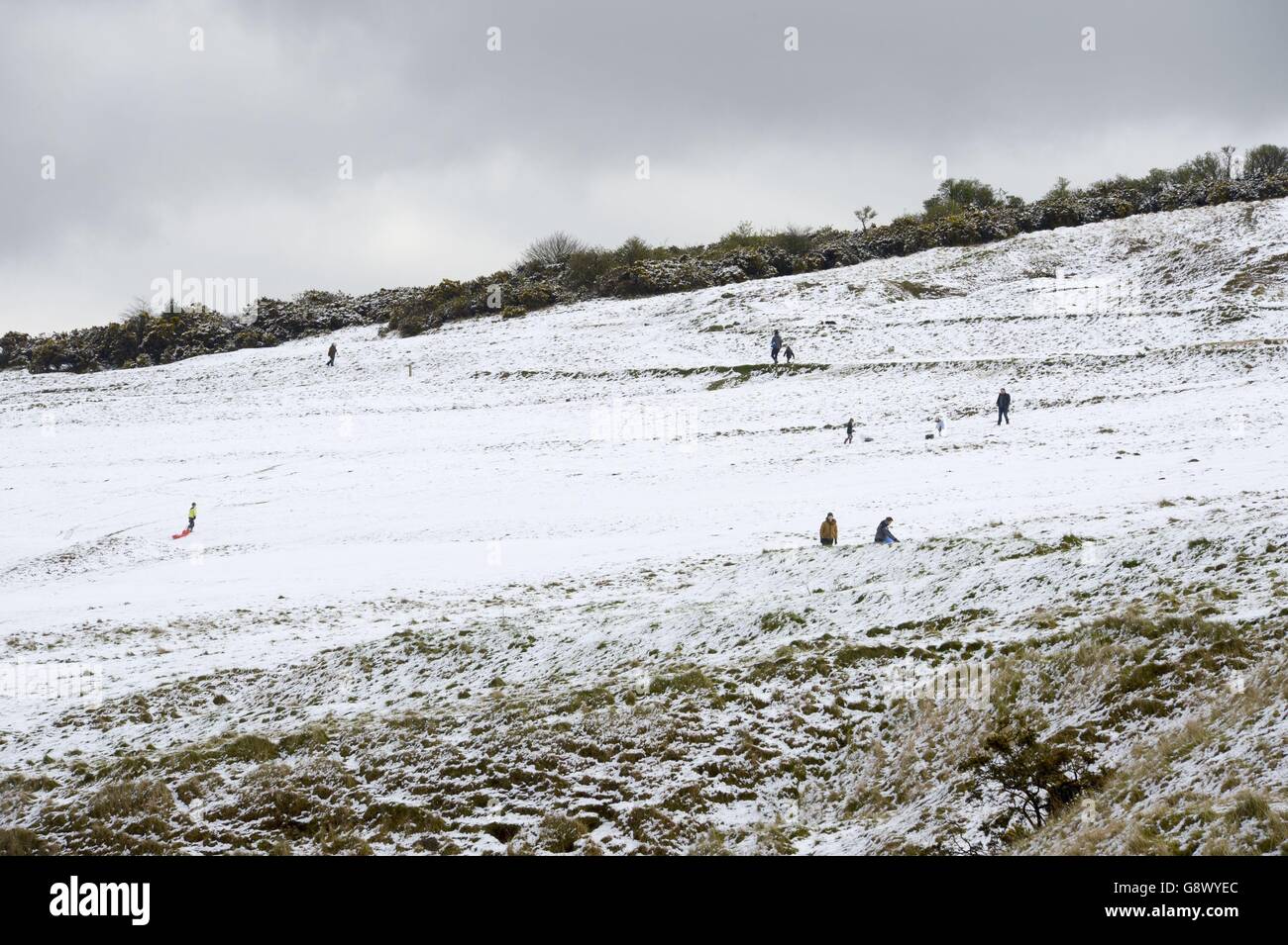 People playing in snow on Cleeve Hill, Cheltenham, as a cold snap ...