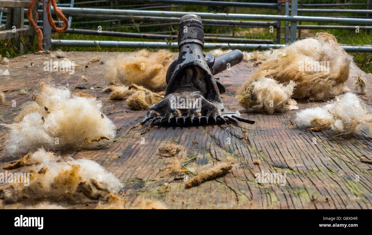 Sheering tool hi-res stock photography and images - Alamy