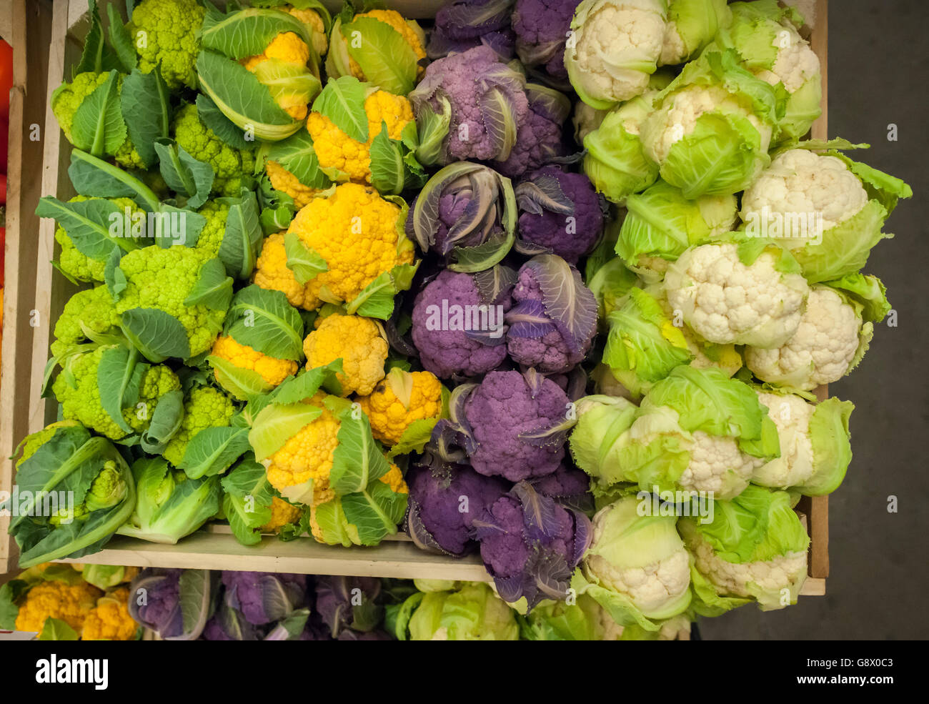 Head Of Cauliflower Baby