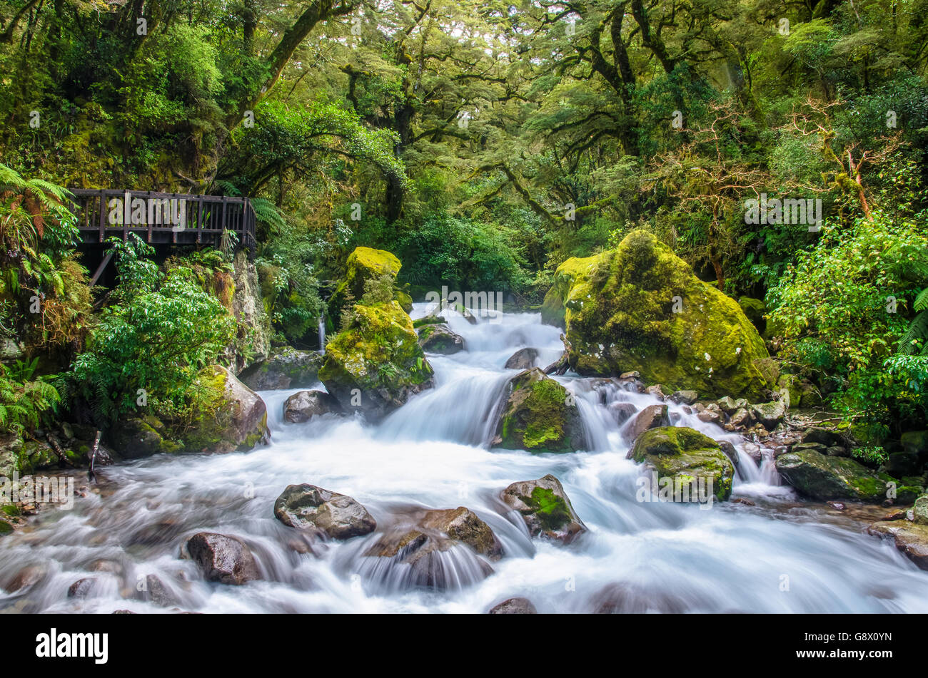 Falls creek fiordland national park hi-res stock photography and images ...