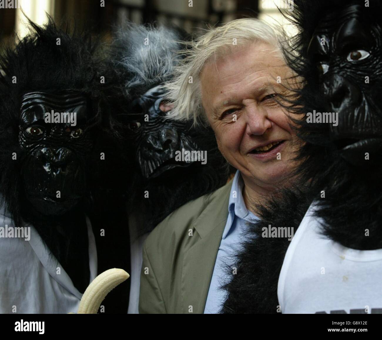 David Attenborough Gorilla Hi Res Stock Photography And Images Alamy