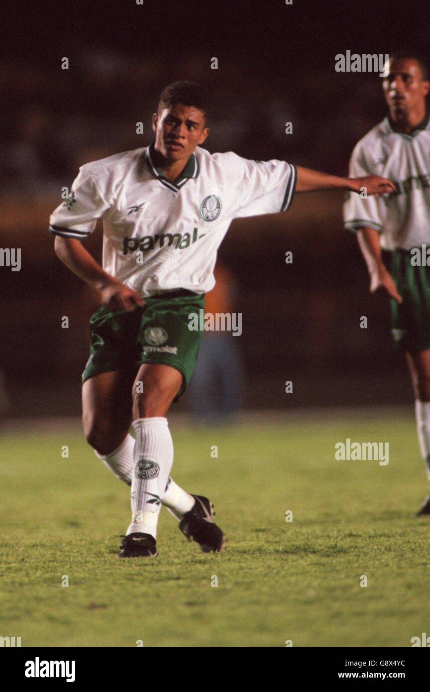 Brazilian Soccer - Flamengo v Palmeiras. Alex, Palmeiras Stock Photo ...