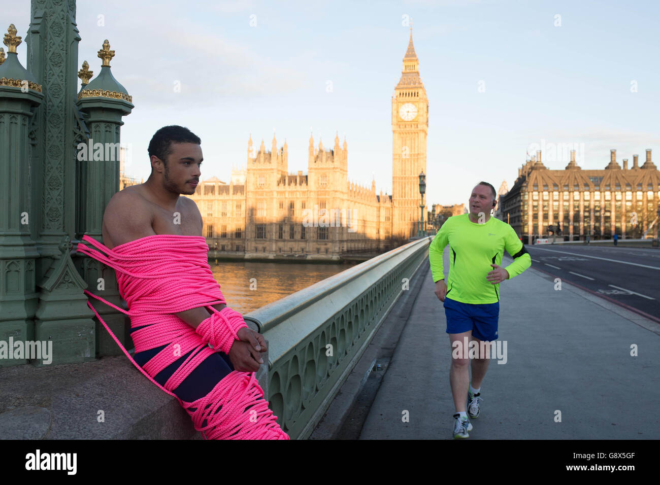 Stag do research Stock Photo - Alamy