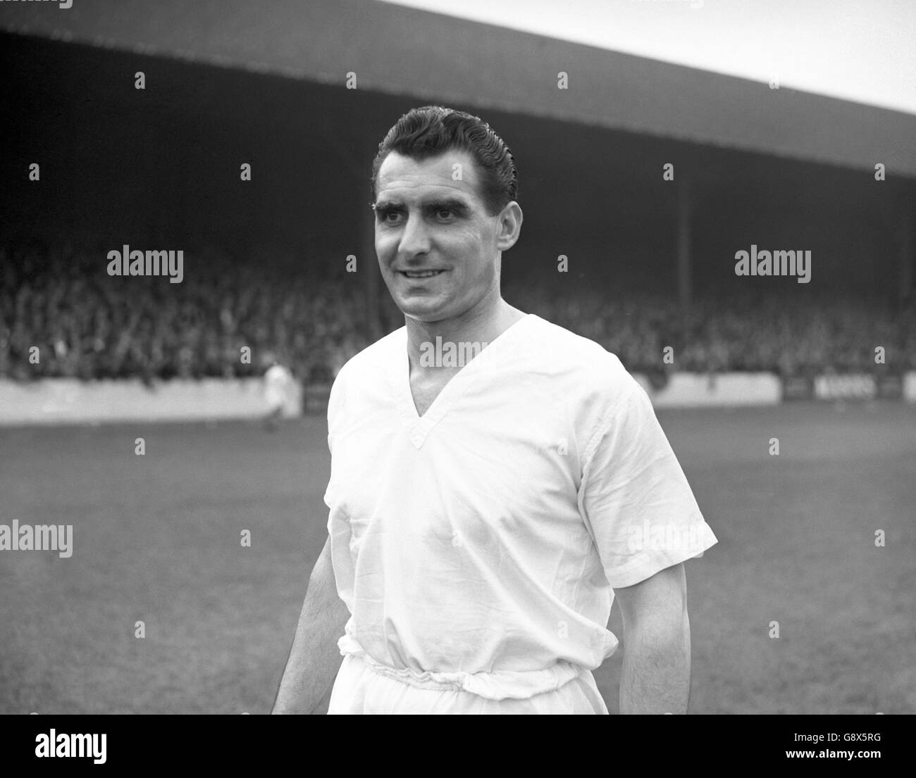 Steve leavy hi-res stock photography and images - Alamy