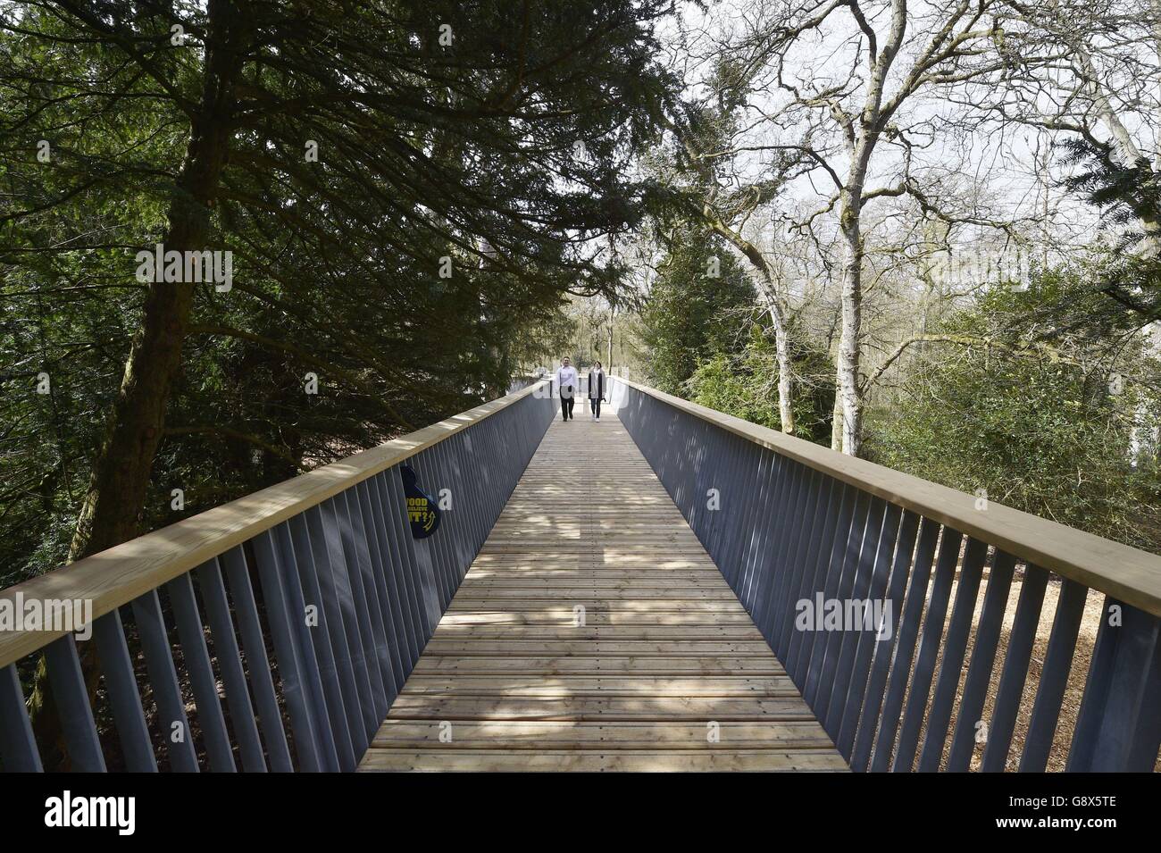 Westonbirt Arboretum Walkway High Resolution Stock Photography and Images - Alamy