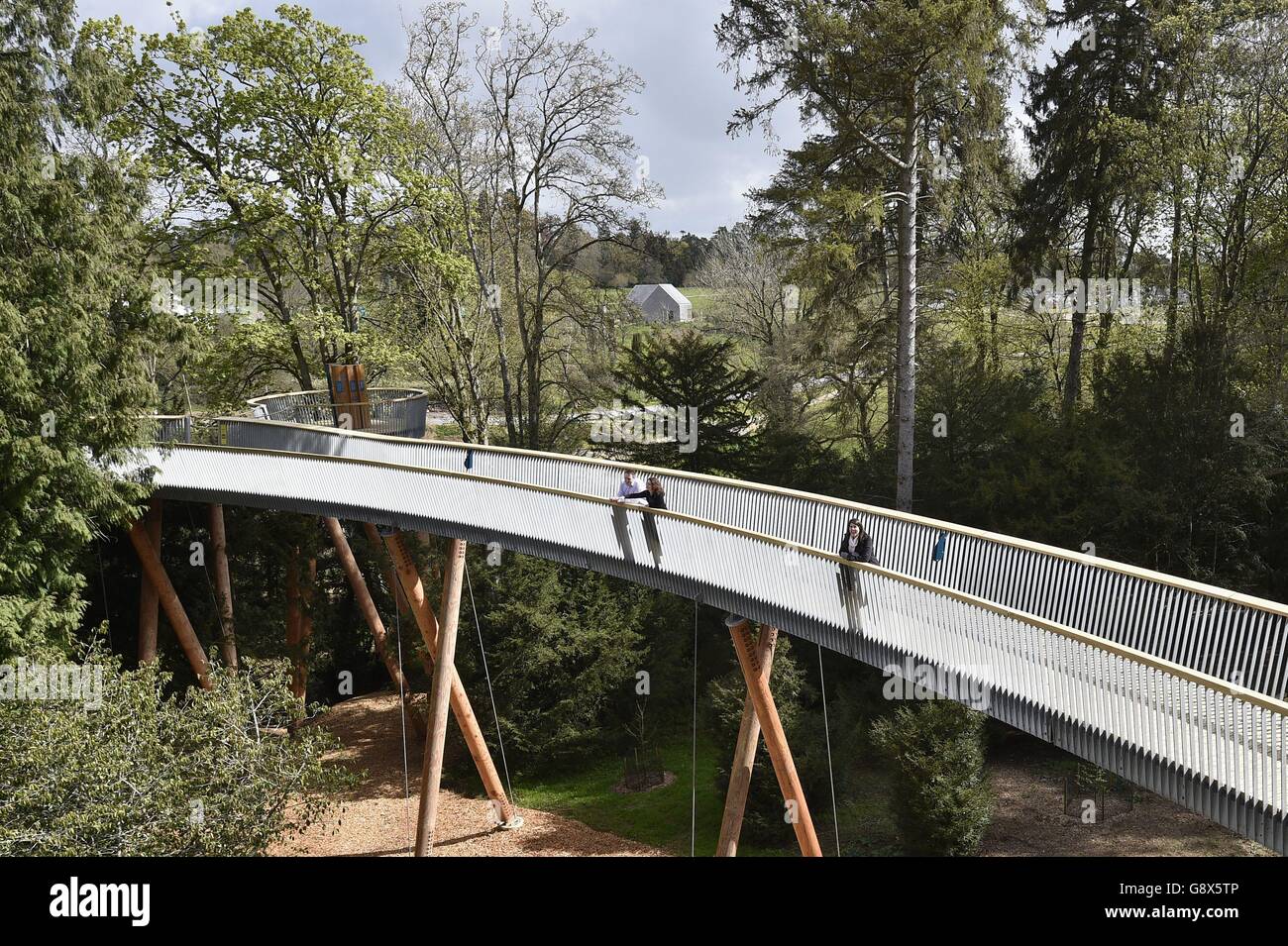 Members of the public during the unveiling of the new STIHL Treetop ...