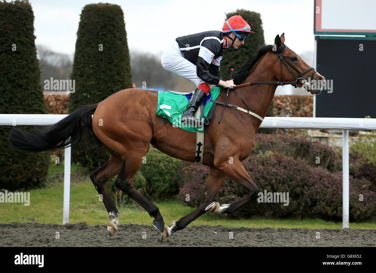 Truth or Dare ridden by jockey Fran Berry competes in the ApolloBet ...