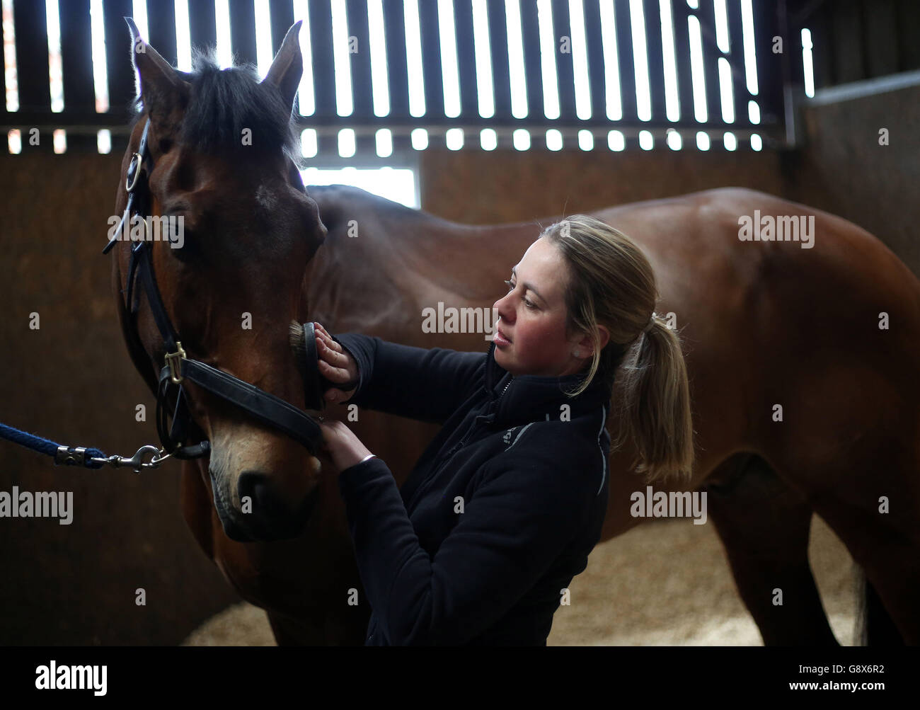 Kitty King Olympic Feature Stock Photo - Alamy