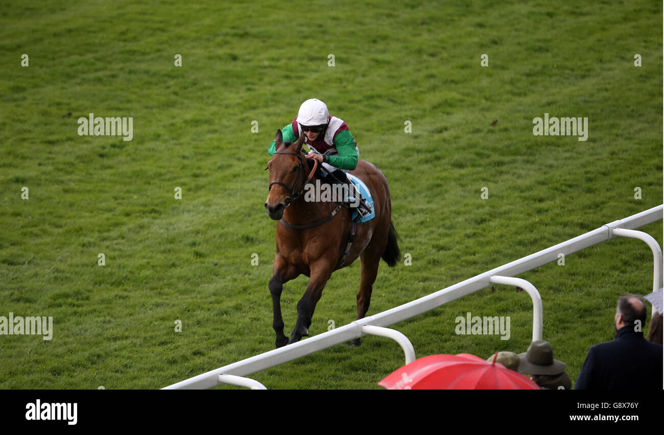 Ascot Races - Discover Ascot Raceday Stock Photo - Alamy