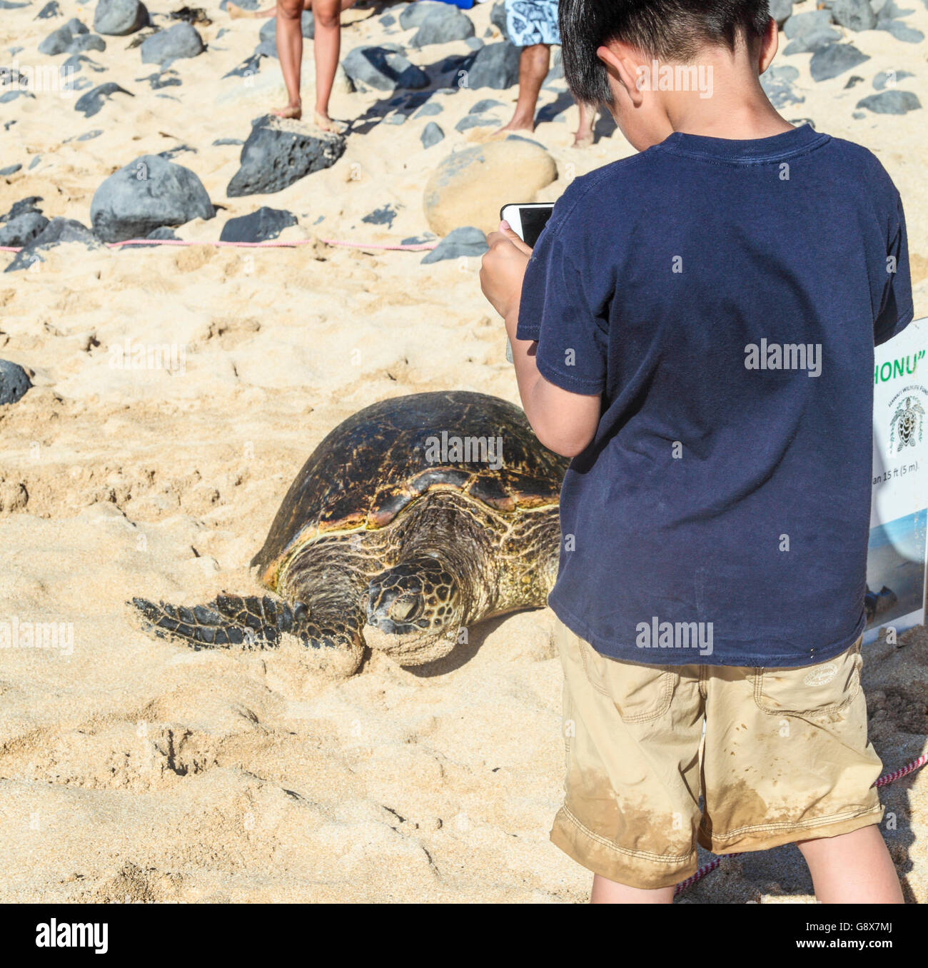Turtle boy hi-res stock photography and images - Alamy