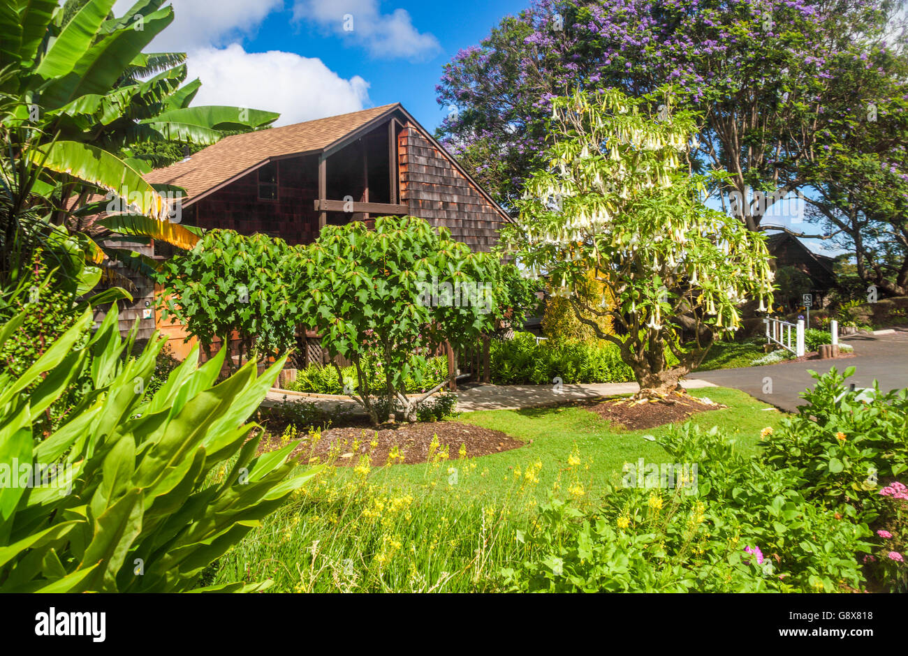 Verdant grounds at Kula Lodge on Maui Stock Photo - Alamy