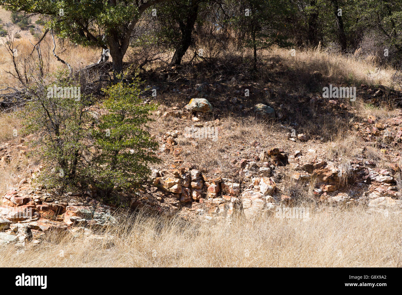 Small rocky outcropping hi-res stock photography and images - Alamy