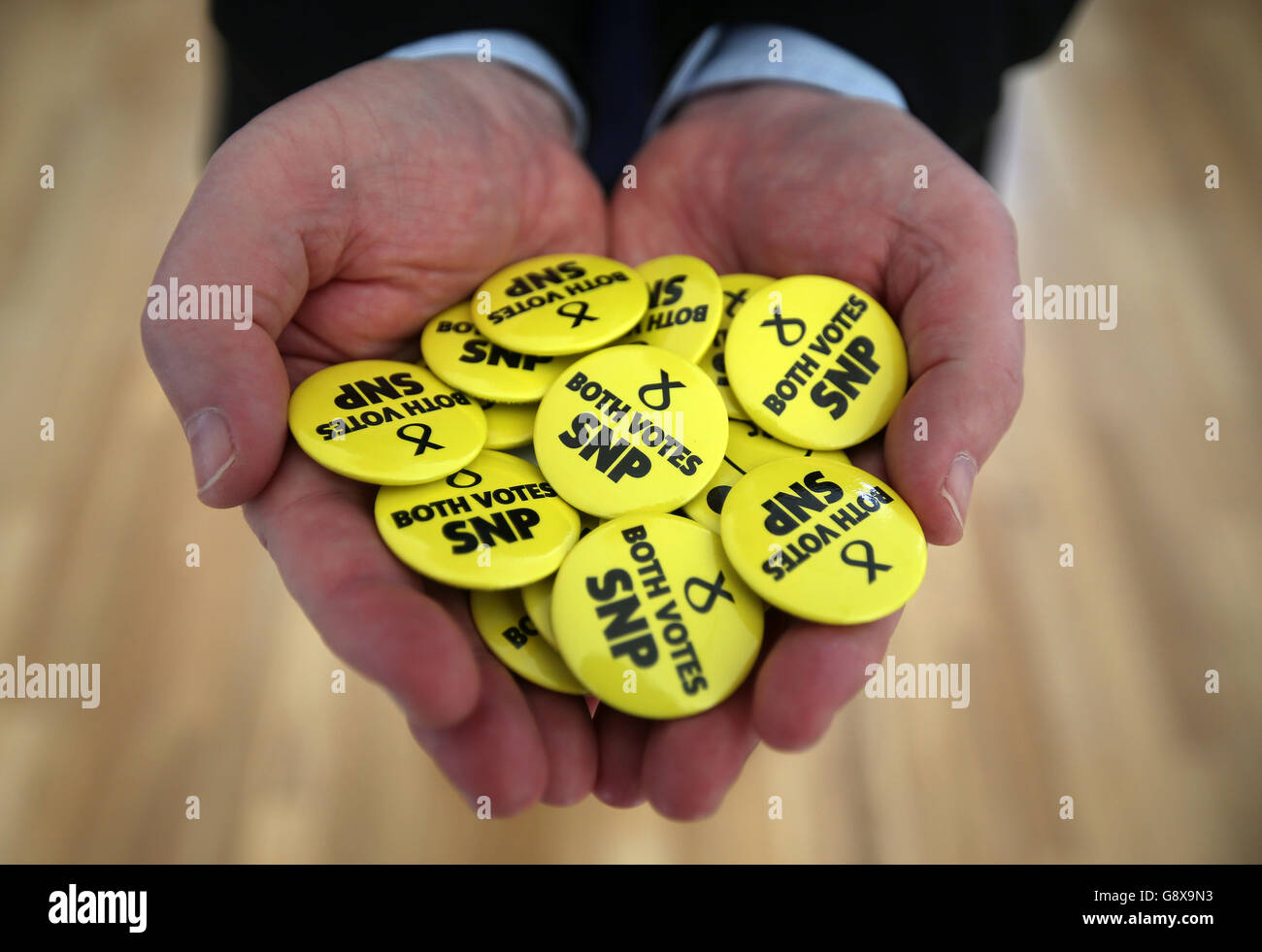 Snp badges are held by an snp supporter hi-res stock photography and ...