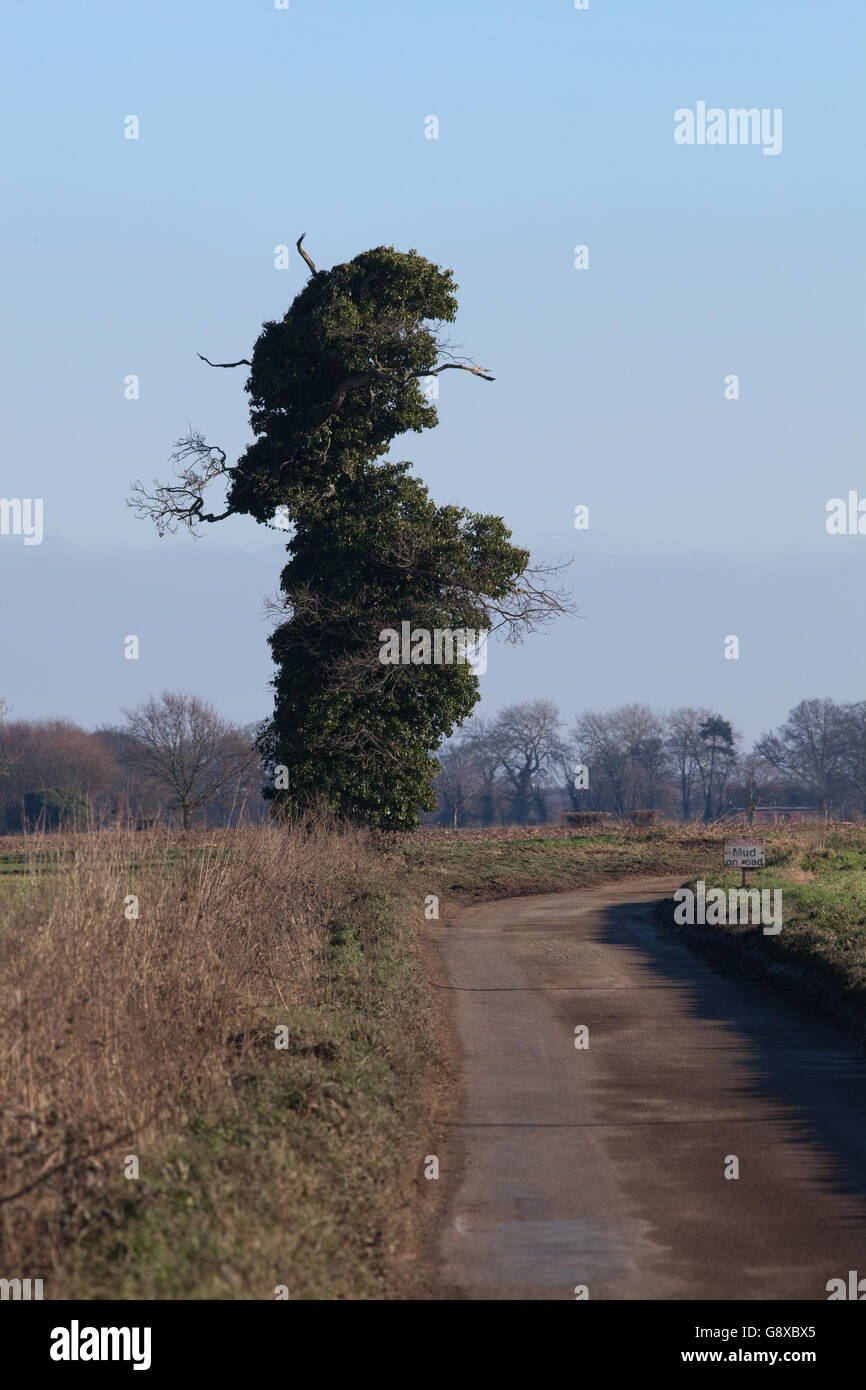 Clamber silhouette hi-res stock photography and images - Alamy