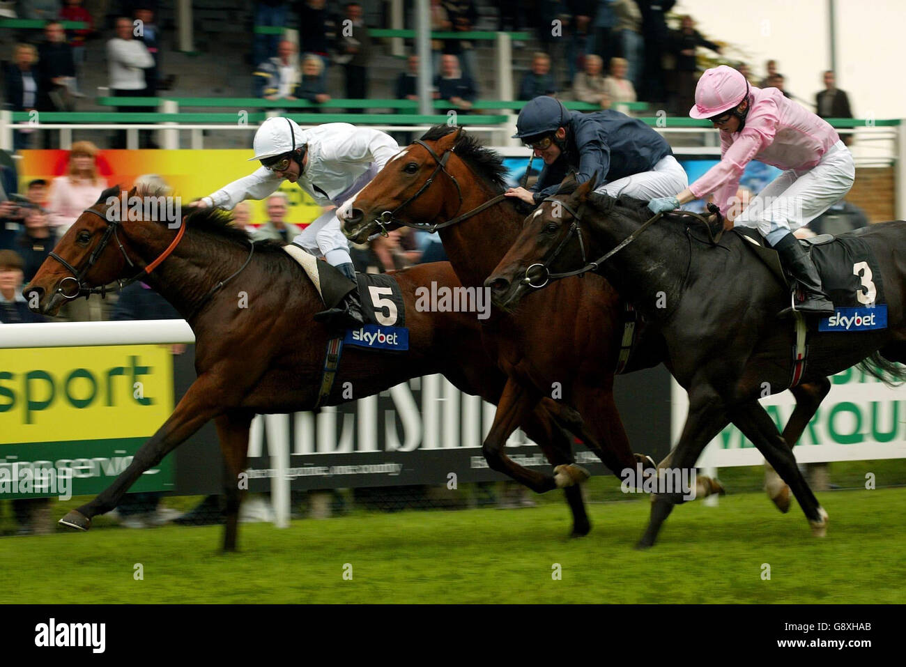 Salisbury racecourse press hi-res stock photography and images - Alamy