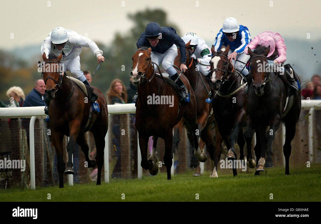 Salisbury racecourse press hi-res stock photography and images - Alamy