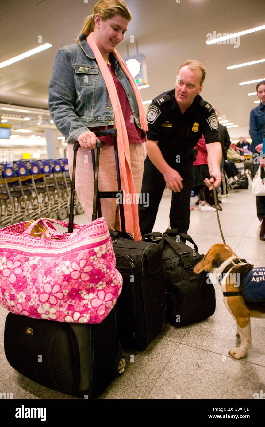 11 April 2006 - New York City, US - 3 yo Beagle Alexandra (Alex ...