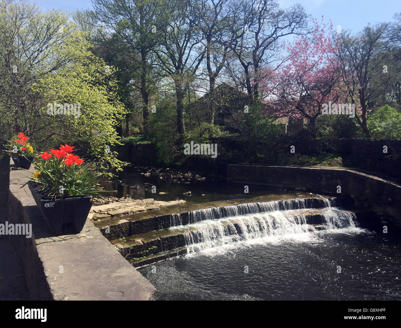 A waterfall in Barrowford, Lancashire as the warm weather continues ...