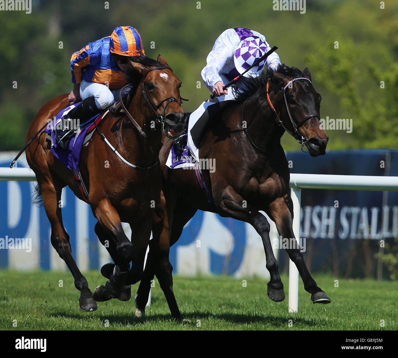 Derrinstown Stud Derby Trial - Leopardstown Races Stock Photo - Alamy