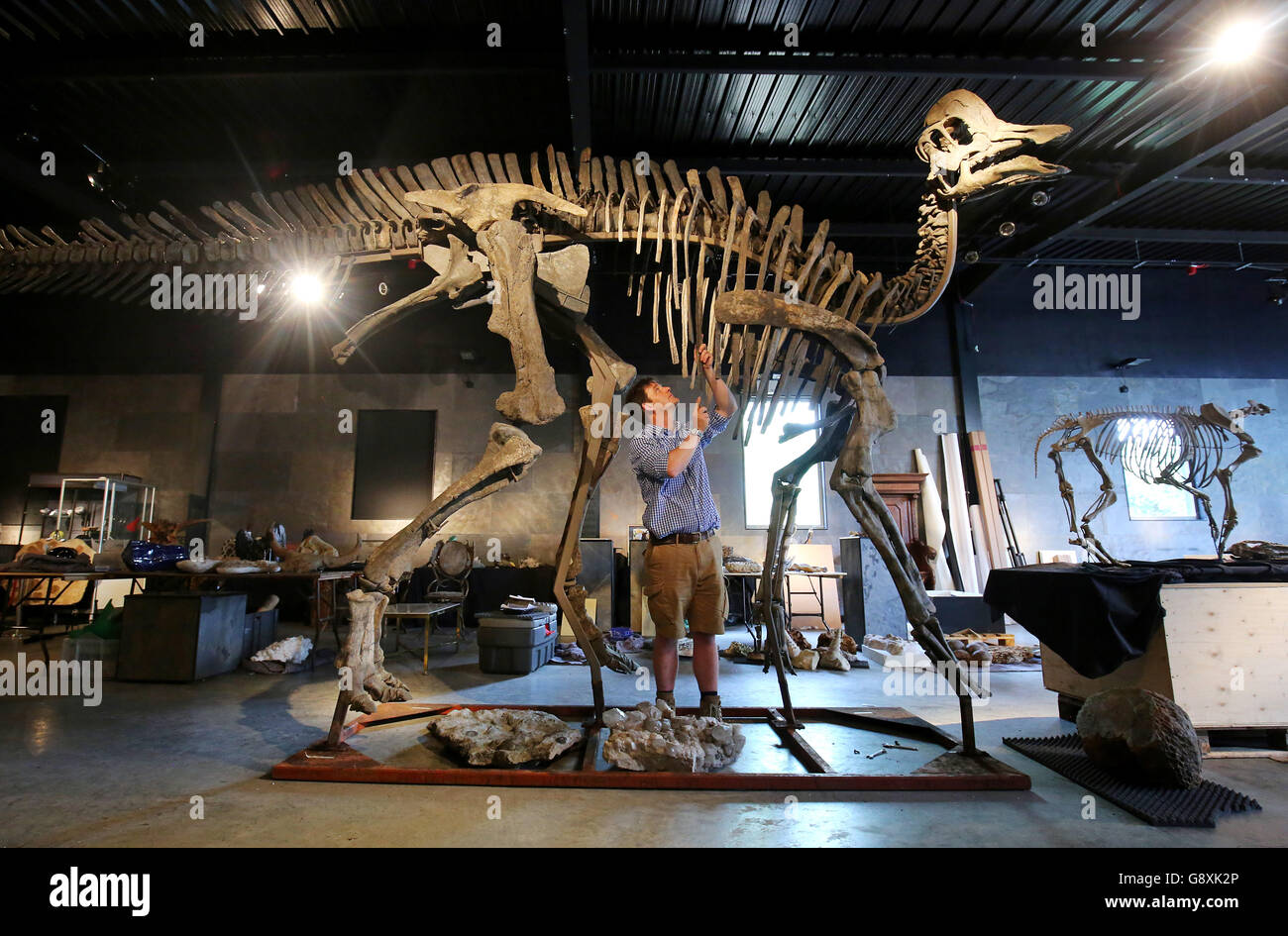 Rupert van der Werff of Summers Place Auctions in Billingshurst, West ...