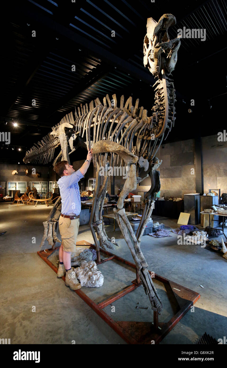 Rupert van der Werff of Summers Place Auctions in Billingshurst, West ...