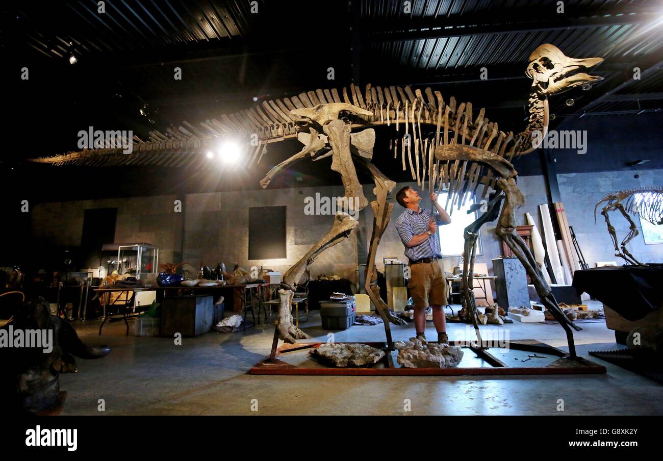 Rupert van der werff summers place auctions hi-res stock photography ...