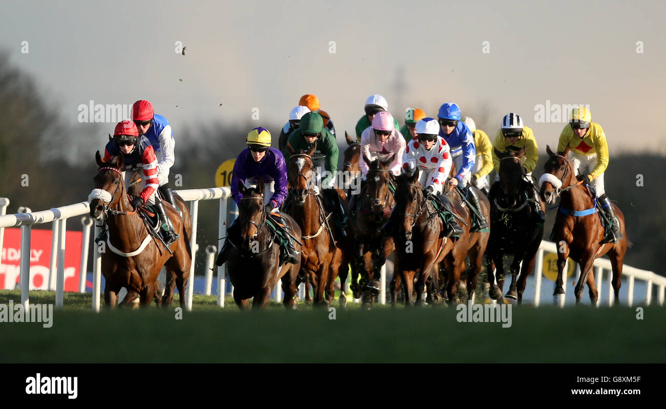 Runners and riders during the Weatherbys Ireland E.B.F. Mares Flat Race ...