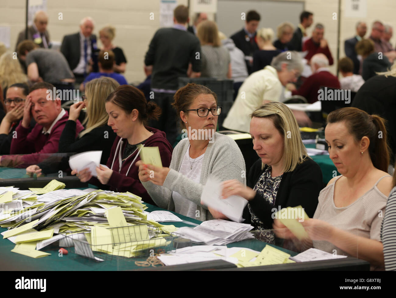 Count volunteers count ballot papers latton bush centre hi-res stock ...