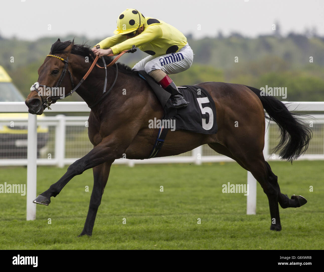 Victoria cup ascot hi-res stock photography and images - Alamy